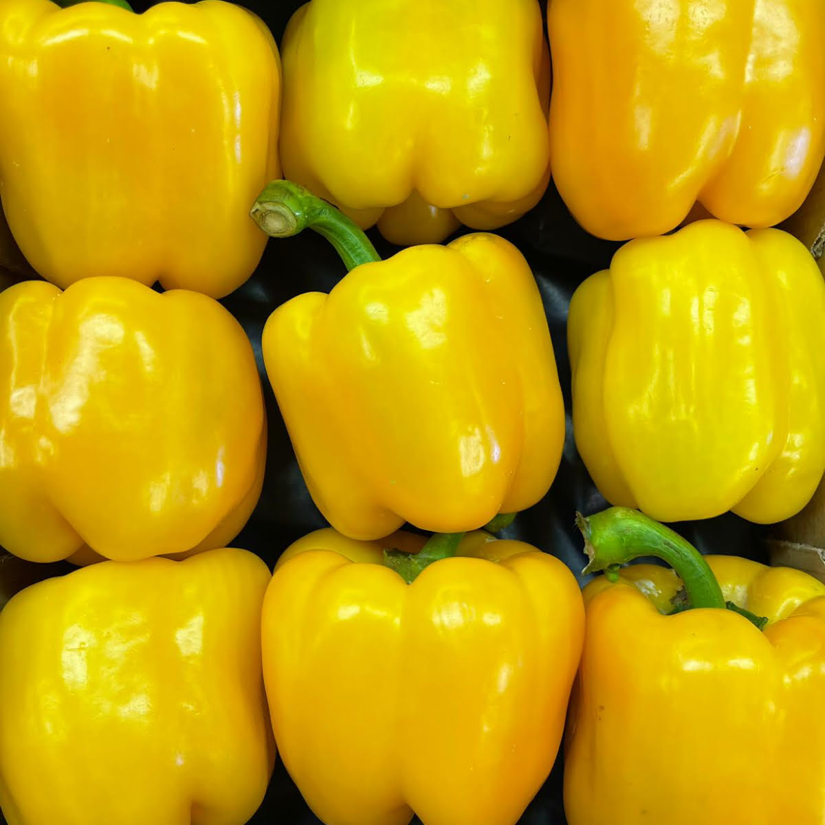 Peperone giallo - La Centrale